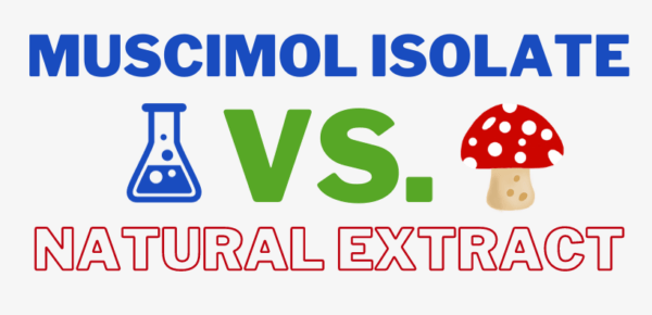 Unlocking the Synergy: Muscimol Isolate vs. Whole-Spectrum Amanita ...