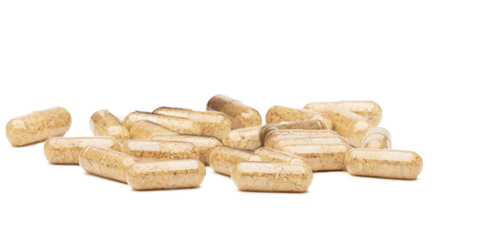 Muscimol Isolate: Extraction, Benefits, and Applications - Dreamer Shrooms